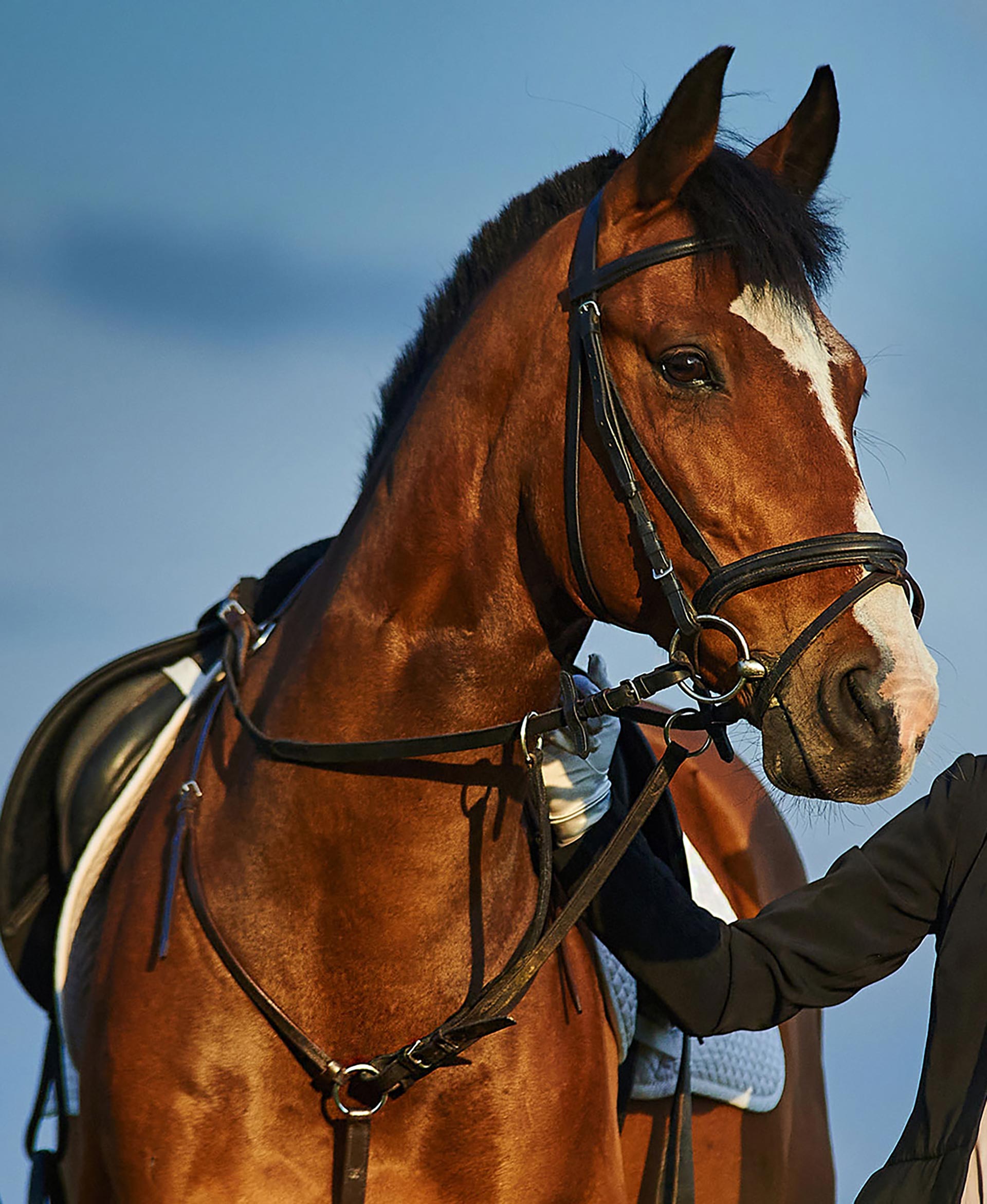 Dark Delight – The Muck King